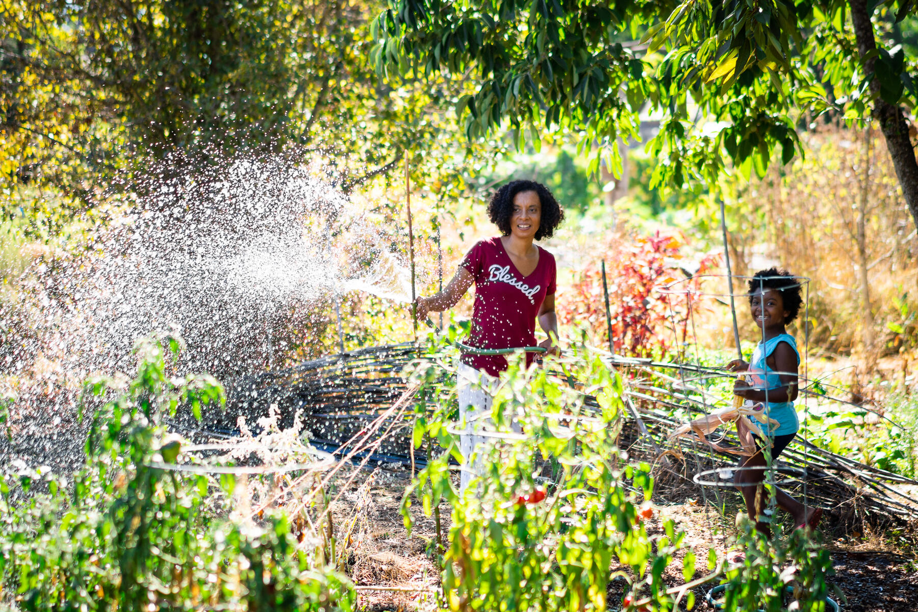 The Power of Community-based Food Systems – Food Systems Leadership Network